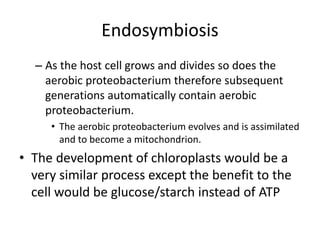 IB BIOLOGY ORIGIN OF CELLS | PPT