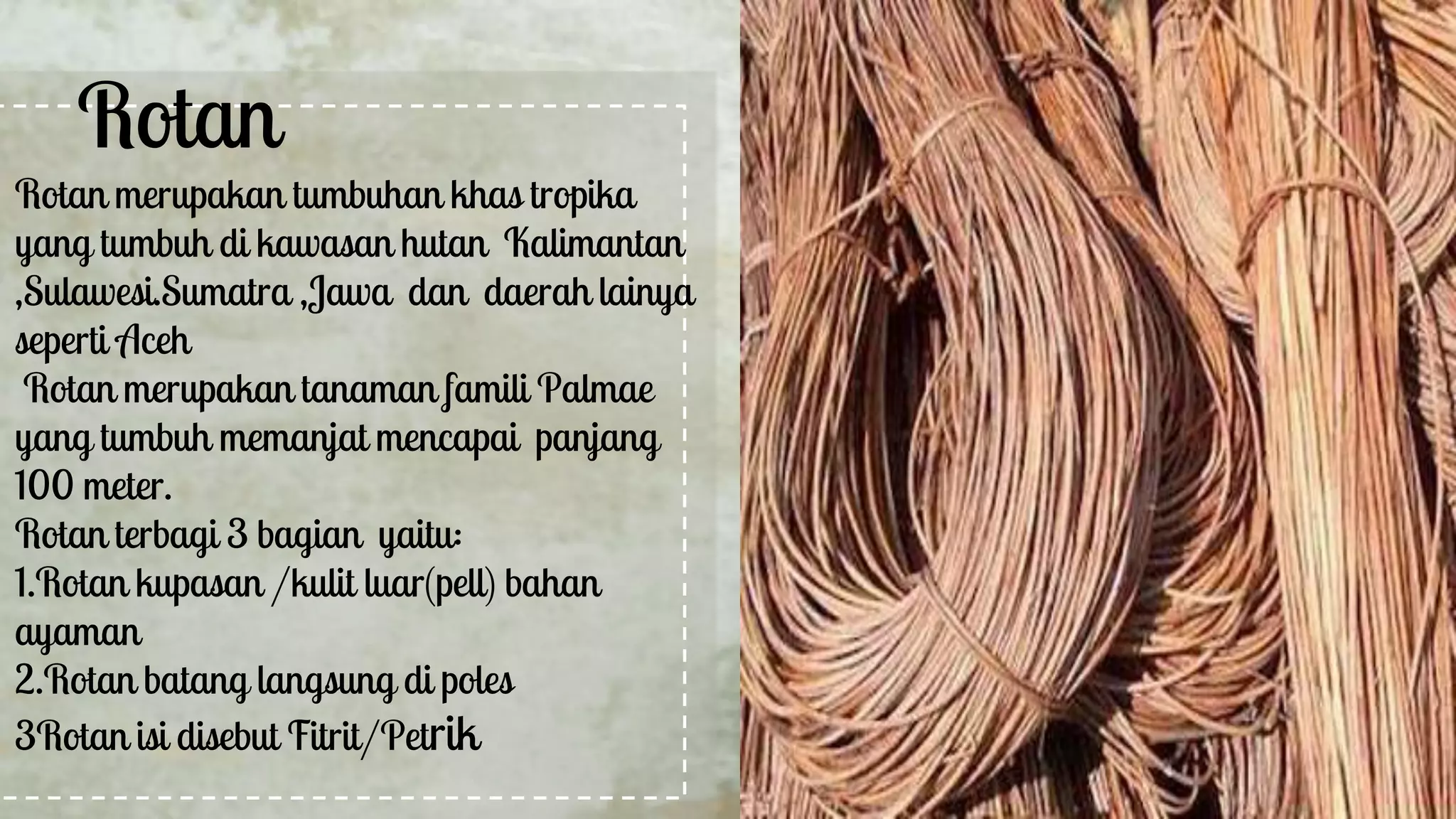 2022 Kls 9 PPT Kerajinan Bahan Keras Alam ROTAN.pptx