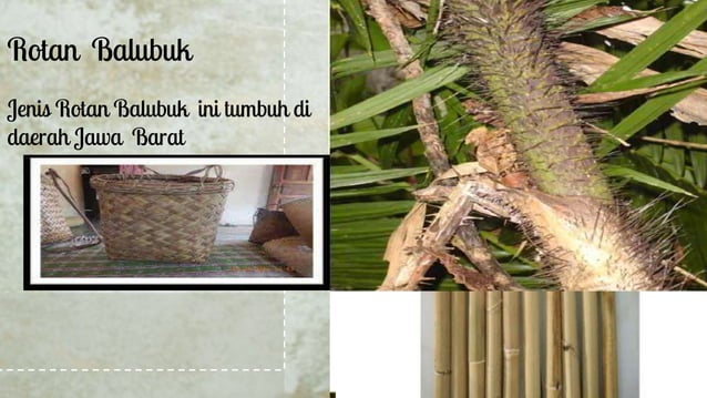 2022 Kls 9 PPT Kerajinan Bahan Keras Alam ROTAN.pptx