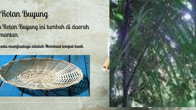 2022 Kls 9 PPT Kerajinan Bahan Keras Alam ROTAN.pptx