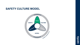 Operational Leadership and Critical Risk Management | PDF