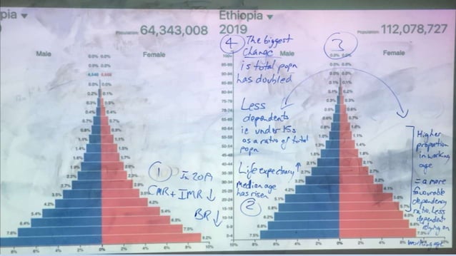 2022 Pop pyramid .pptx