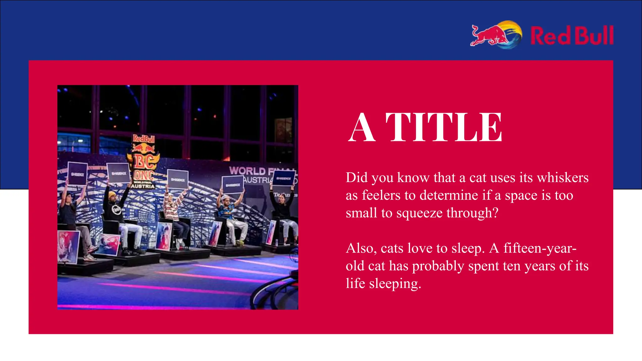 2022 Red bull presentation template.pptx