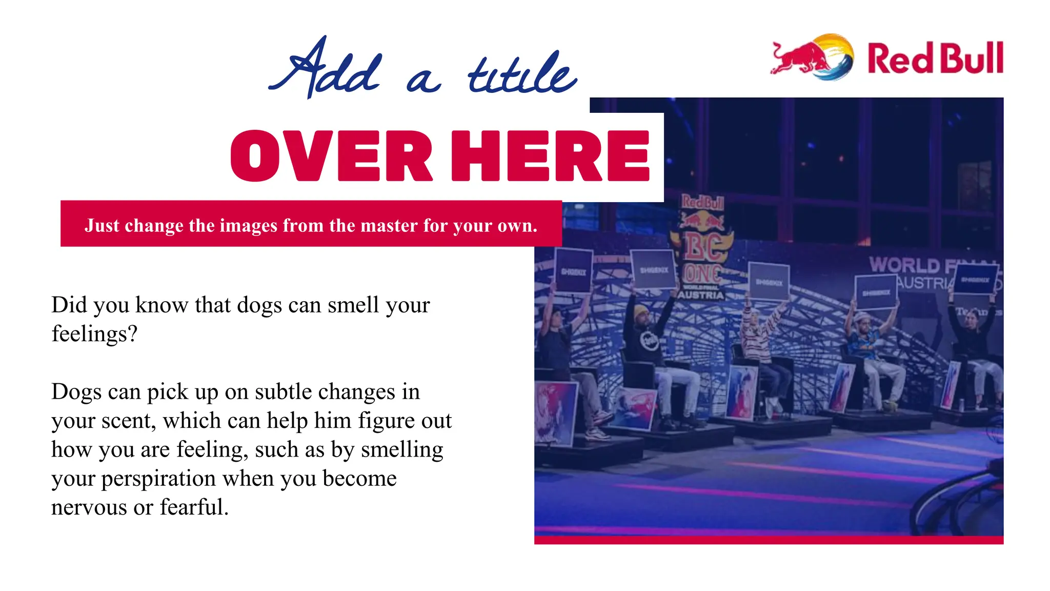 2022 Red bull presentation template.pptx