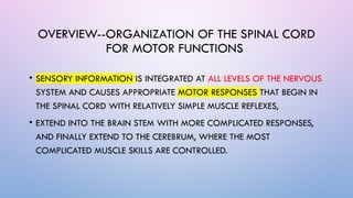 2022 Reflex arc Motor Functions of Spinal Cord (1).pptx