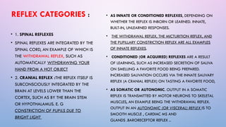 2022 Reflex arc Motor Functions of Spinal Cord (1).pptx