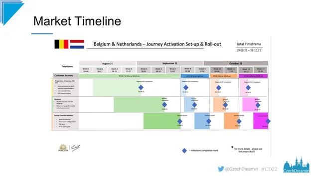 SFMC Customer Journey Case Study: How to scale a project for the global ...