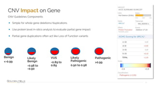 Handling a Variety of CNV Caller Inputs with VarSeq | PPT