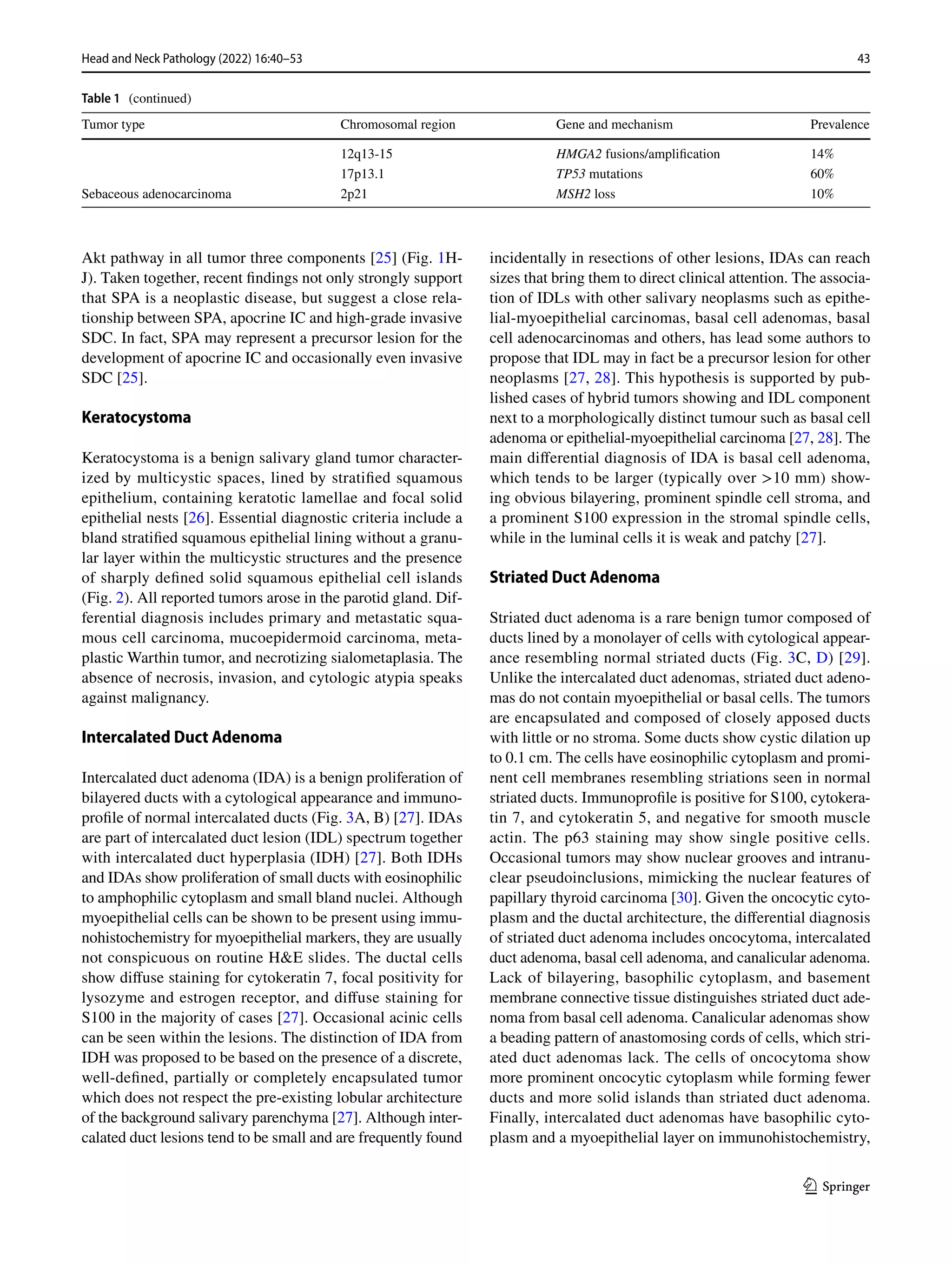 2022 WHO Salivary gland tumors update.pdf