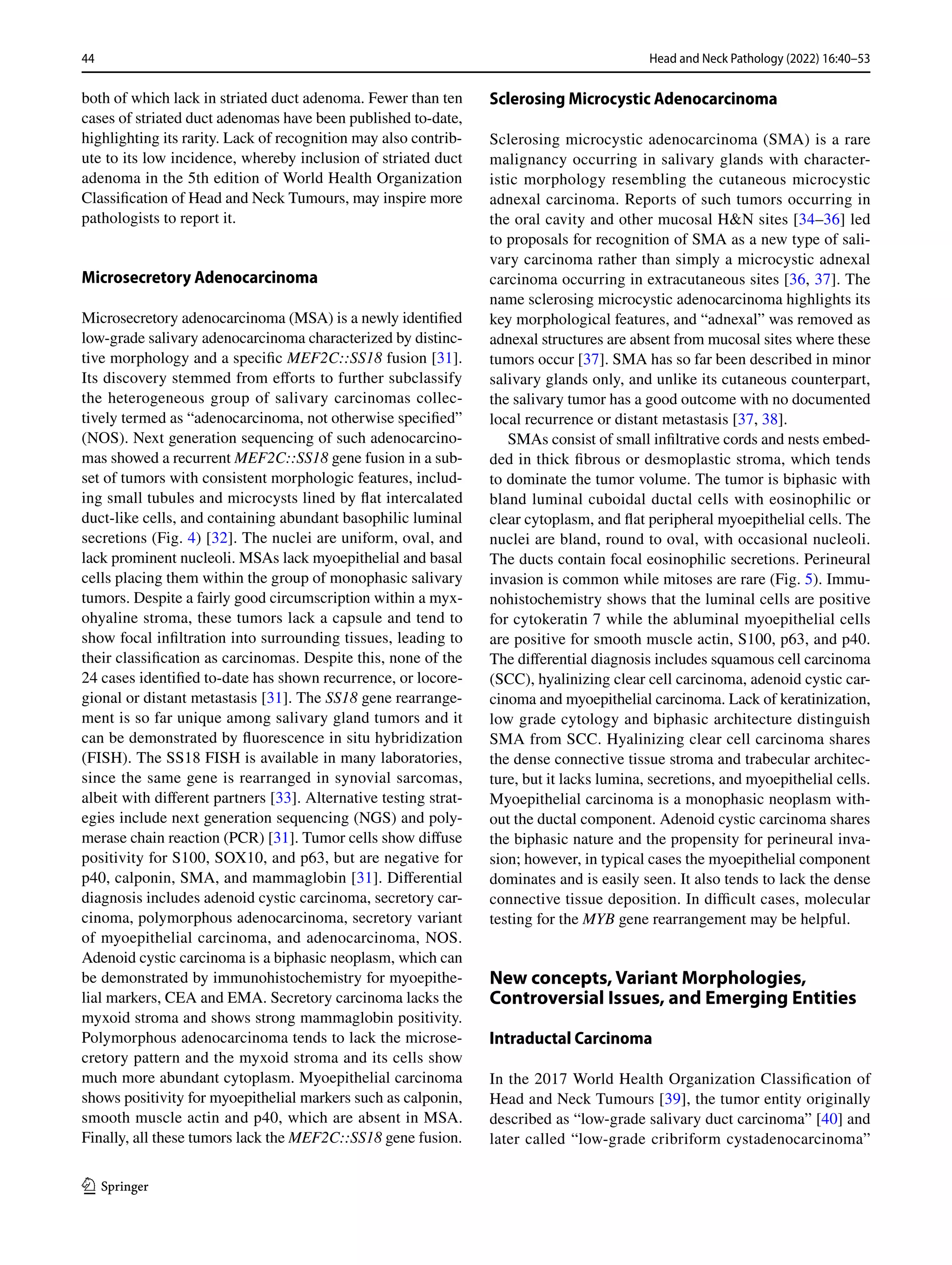 2022 WHO Salivary gland tumors update.pdf