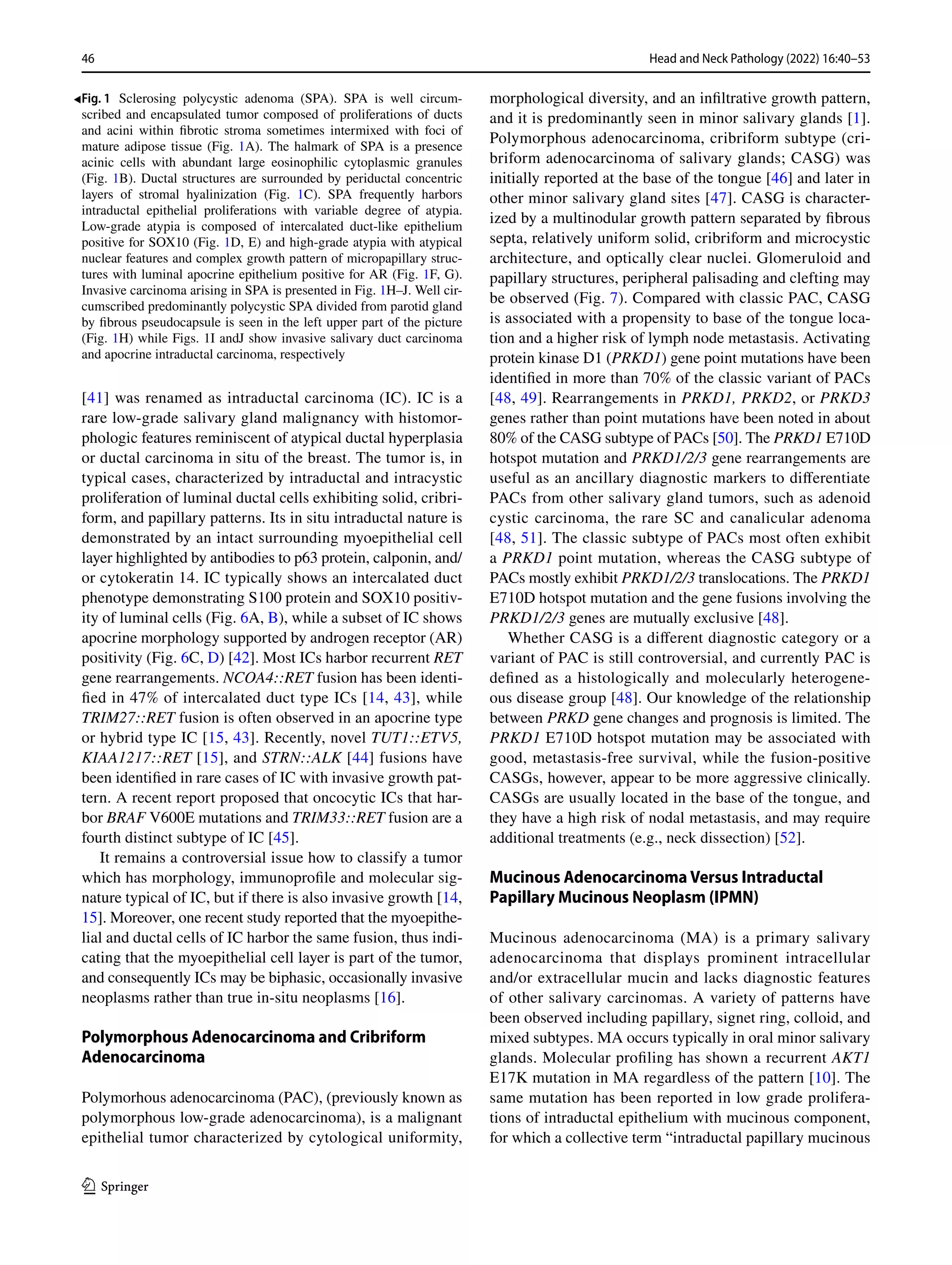 2022 WHO Salivary gland tumors update.pdf