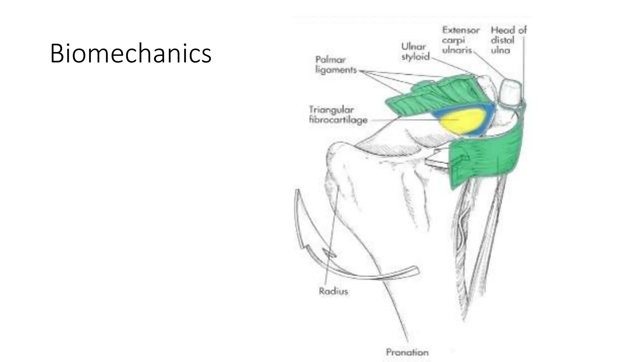 TRIANGULAR FIBROCARTILAGE COMPLEX, TFCC INJURY , DR ARJUN , | PPTX