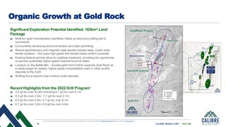 Calibre Mining Presentation | PPT