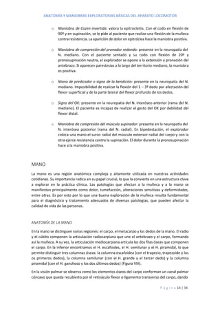 (2023-07-03) Anatomía y maniobras básicas del aparato locomotor (DOC).docx