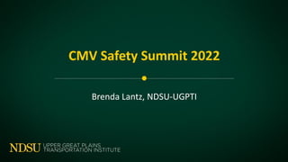 CMV Safety Summit 2022 | PDF