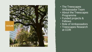 The Future of UK Treescapes Research Funding Programme 2020-2025 | PPTX