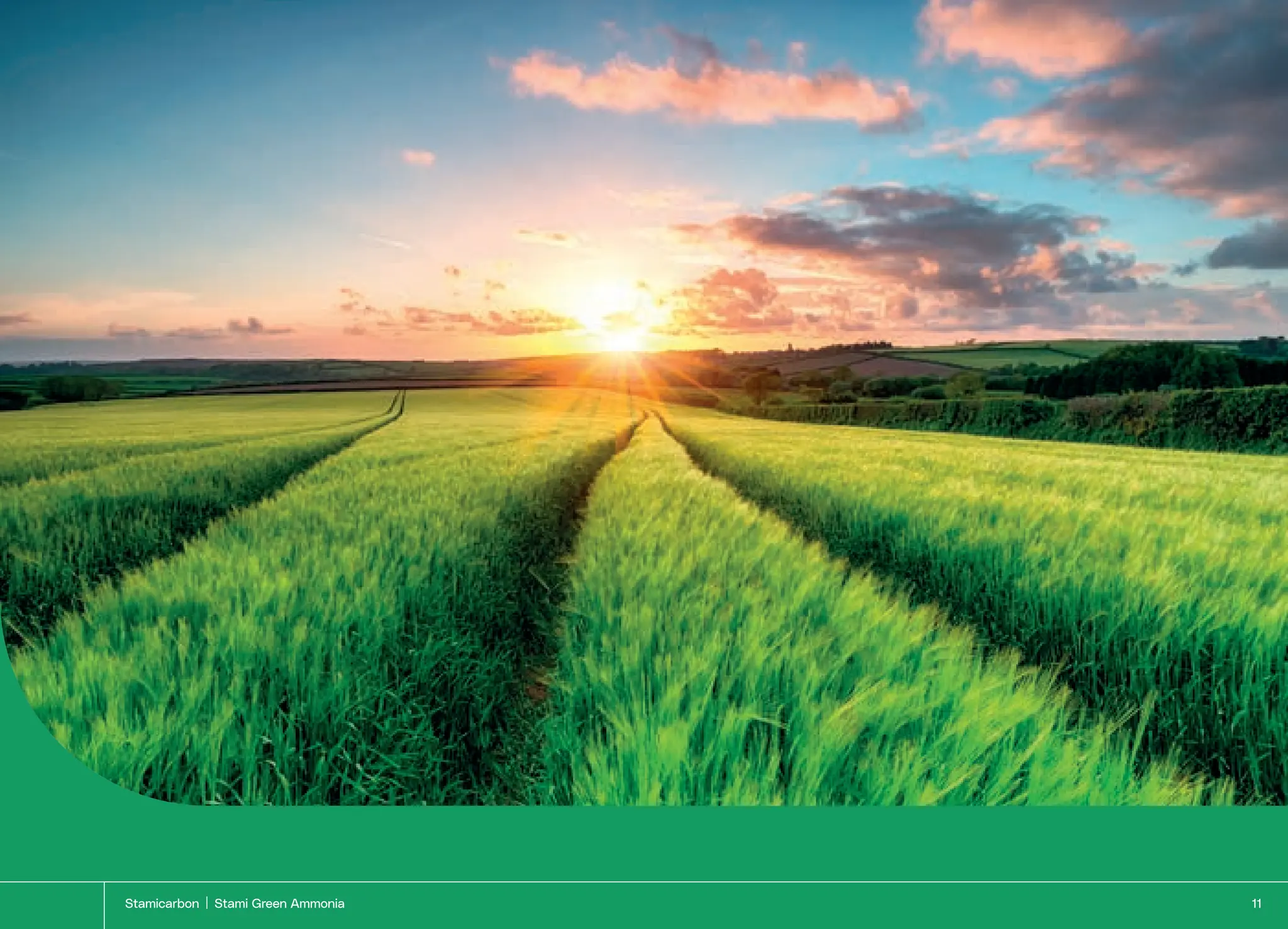 2023-09- Stami Green Ammonia Brochure (1).pdf