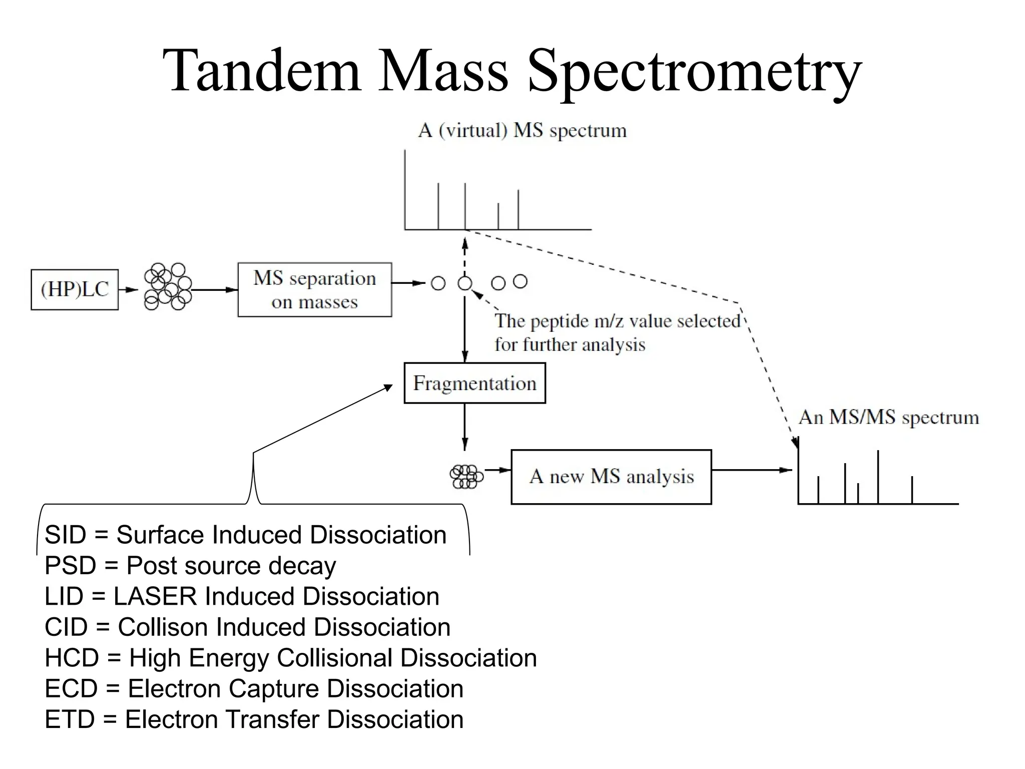 Bioinformatics fundamental usage of mass spectrometry | PPT