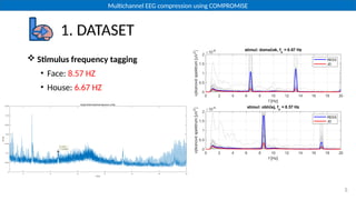 eeg signal processing for eeg signal processing | PPT