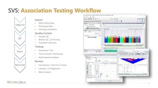 Enhance Genomic Research with Polygenic Risk Score Calculations in SVS ...
