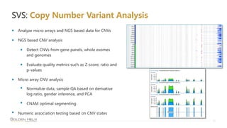 Enhance Genomic Research with Polygenic Risk Score Calculations in SVS ...