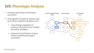 Enhance Genomic Research with Polygenic Risk Score Calculations in SVS ...
