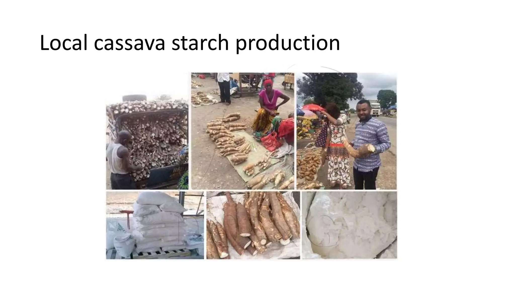 Uses of cassava starch processing byproducts.pptx