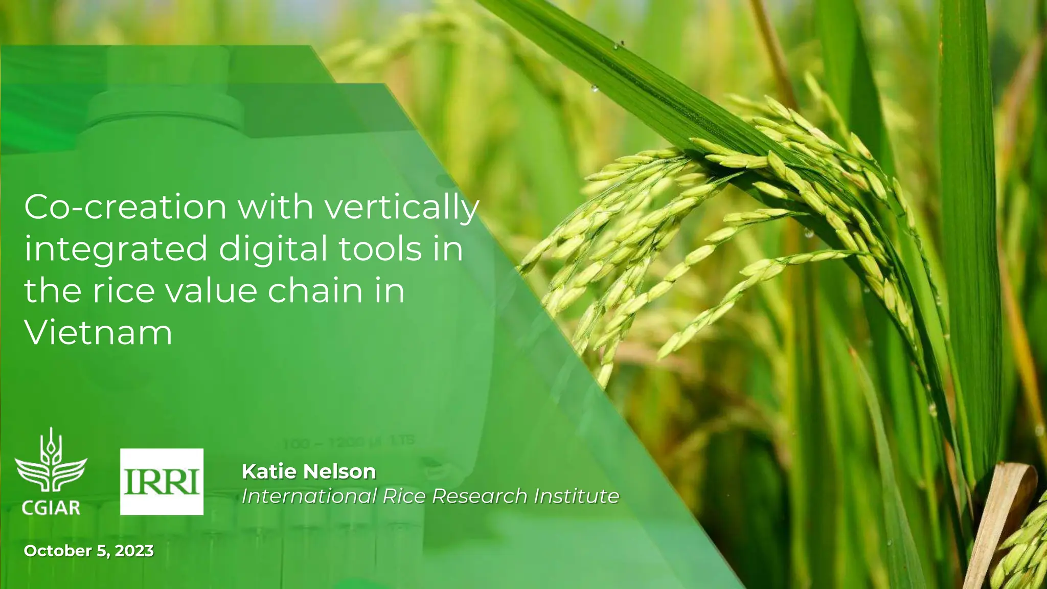 Co-creation with vertically integrated digital tools in the rice value ...