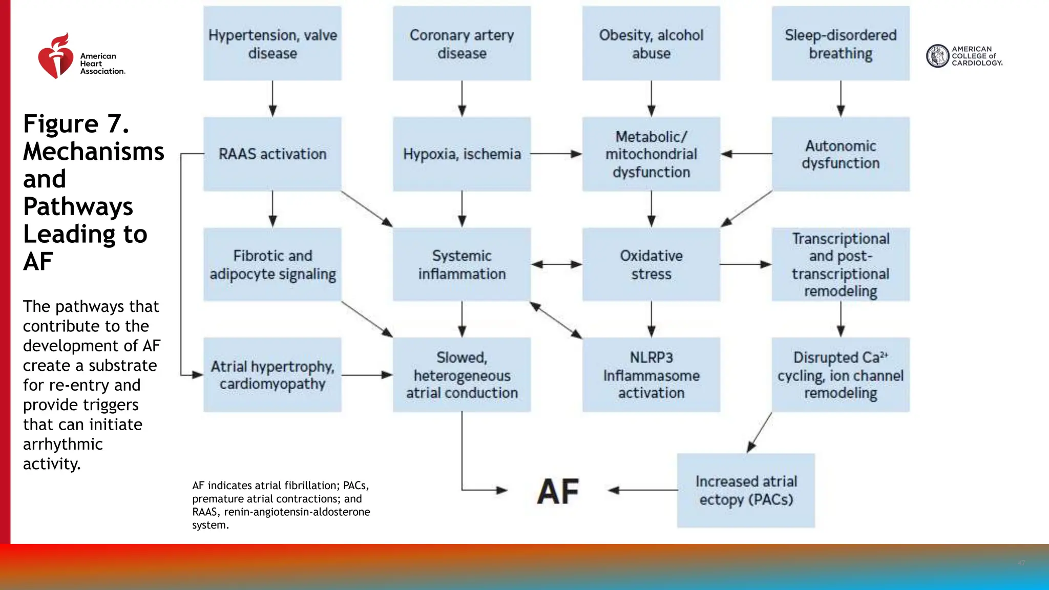2023-Atrial-Fibrillation-Guideline-Slide-Set-gl-af.pptx
