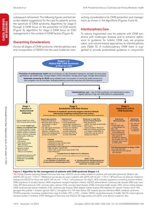 2023-cardiovascular-kidney-metabolic-health-a-presidential-advisory ...