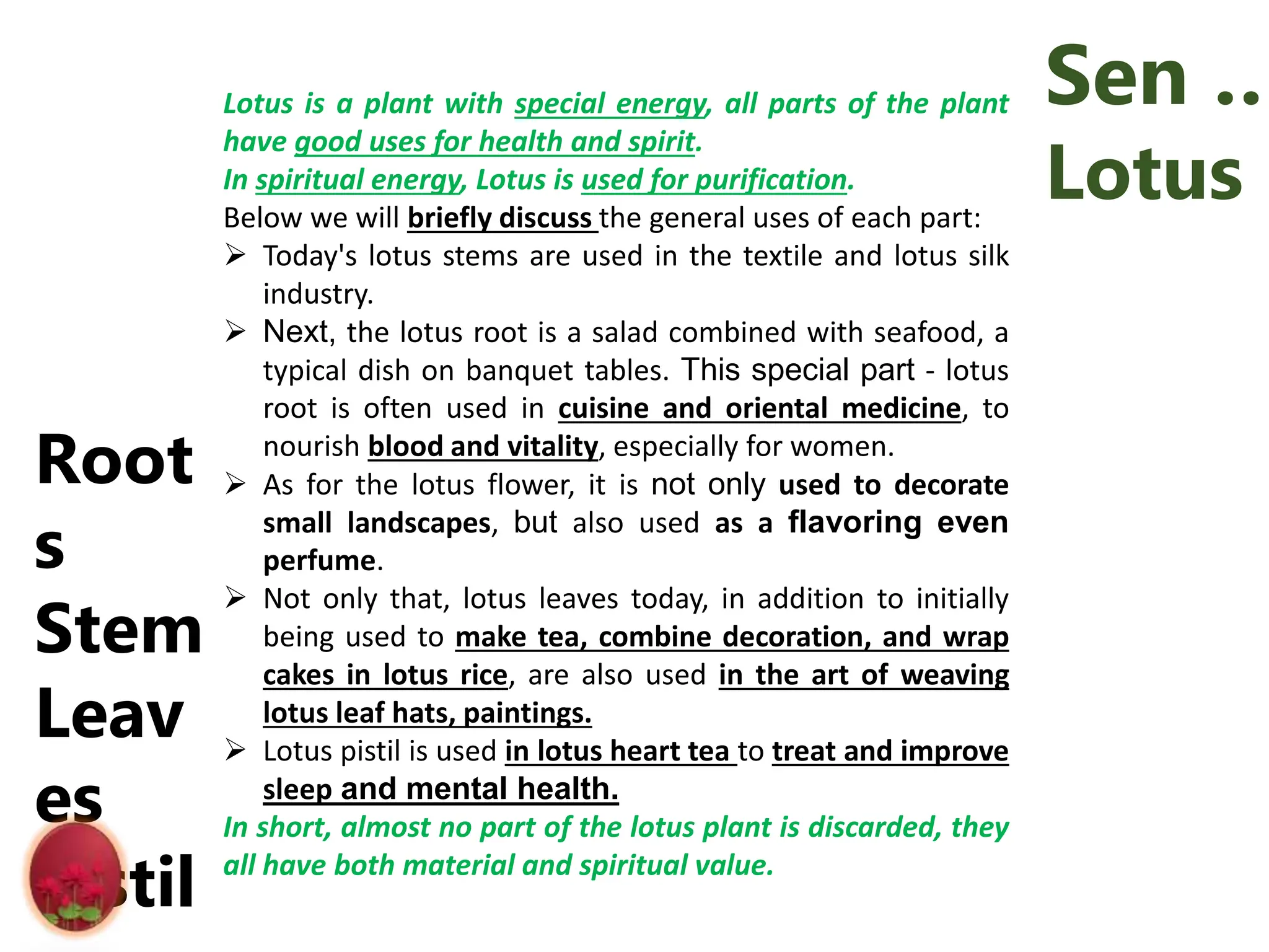 2023-IELTS-speaking-lotus.pptx