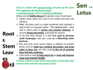 2023-IELTS-speaking-lotus.pptx