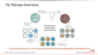 2023-melanoma-til-therapy_Sarnaik 2023.pptx