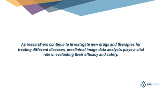 Preclinical Data Analysis - The Key to Robust Translational Results | PDF