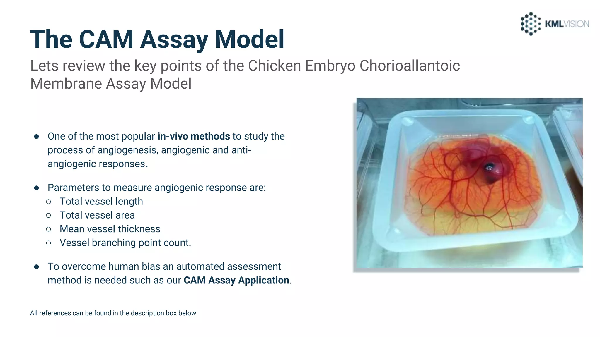 IKOSA Prisma in Action - Assessing angiogenesis hallmarks within the ...