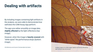 IKOSA Prisma in Action - Assessing angiogenesis hallmarks within the ...