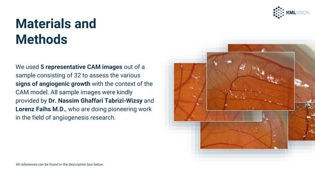 IKOSA Prisma in Action - Assessing angiogenesis hallmarks within the CAM Assay Model | PPTX ...