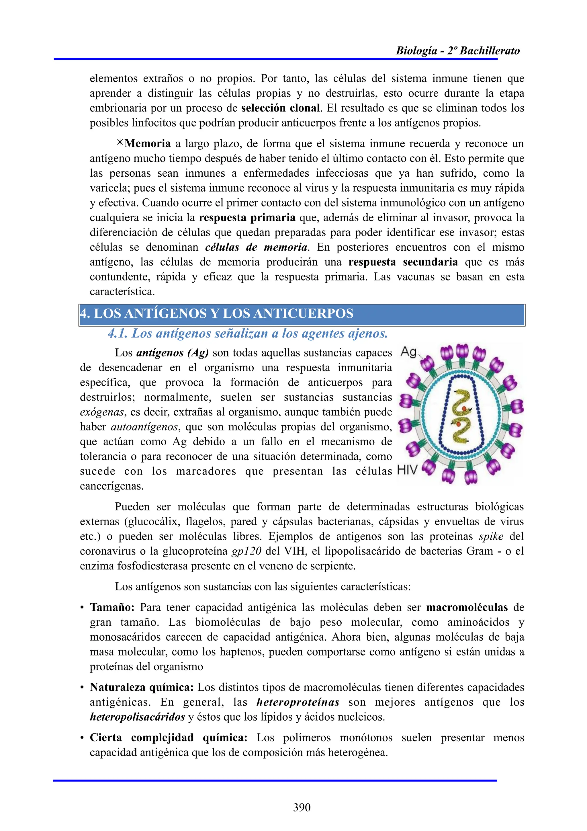 Tema 15: Inmunología - Bología -2 Bachillerato | PDF