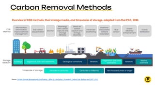 Carbon Removals and EU ETS future | PDF