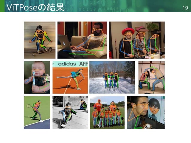DLゼミ: ViTPose: Simple Vision Transformer Baselines for Human Pose Estimation | PPTX | Artificial ...