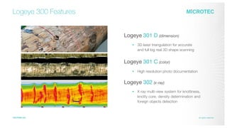 Innovating Wood | PDF