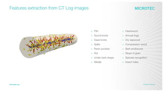 Innovating Wood | PDF