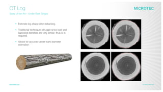 Innovating Wood | PDF