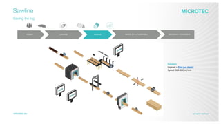 Innovating Wood | PDF