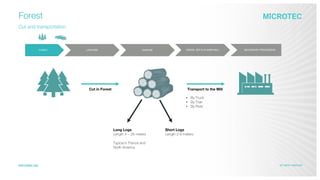 Innovating Wood | PDF