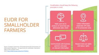 Navigating EUDR Compliance within the Coffee Industry | PDF