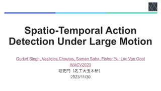 論文紹介：Spatio-Temporal Action Detection Under Large Motion | PDF