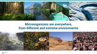 Delve into the world of the human microbiome and metagenomics | PPT