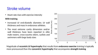 2023 13.Exercise physiology.pptx of aiims | PPTX