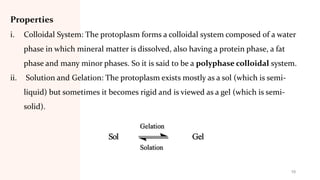 Plant biology | PPTX